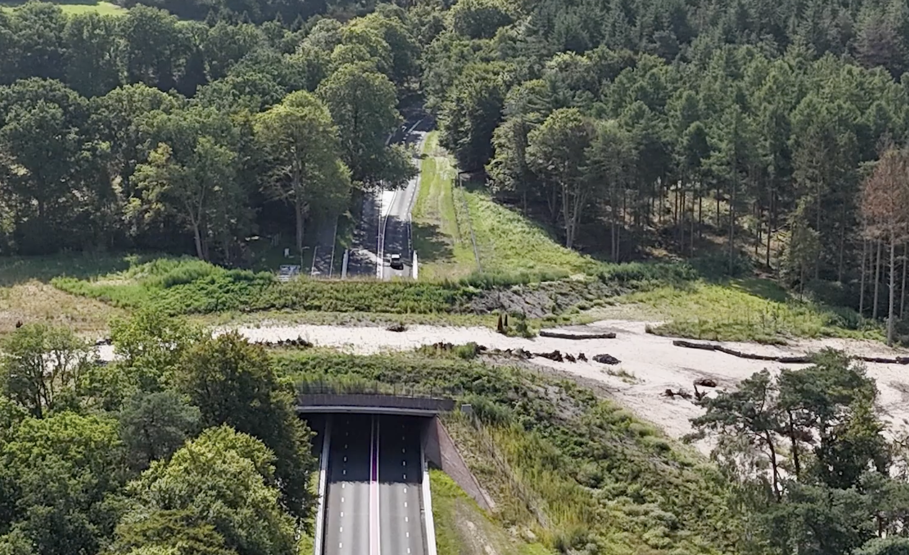 Ecoduct Maarsbergen voor natuur en veiligheid (video)